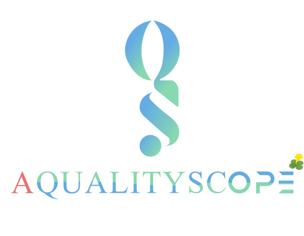 أهم 8 مبادئ لتصميم مواقع الويب | A Quality Scope